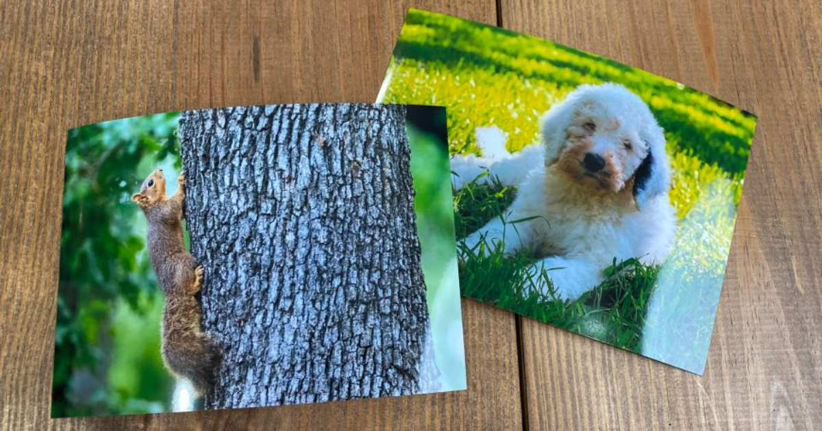 3 FREE 5X7 Photo Prints From CVS The Freebie Guy 