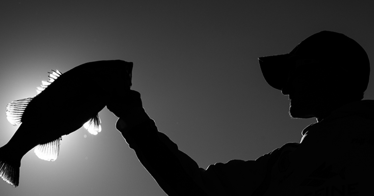 FREE 13 Fishing Relief Package - The Freebie Guy® ️️️