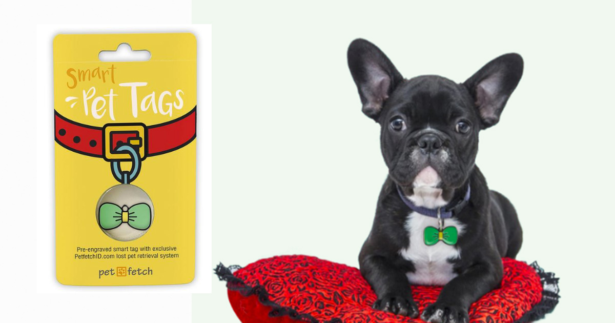 Free PetfetchID Smart ID Tag - The Freebie Guy® ️️️