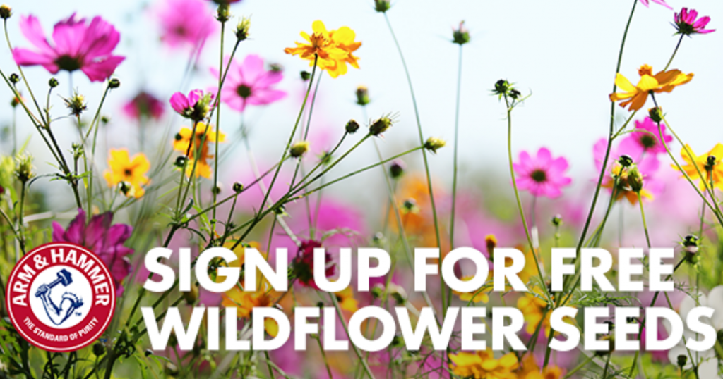 Free Tree Seedling or Wild flower Seed Card from Arm & Hammer - The ...