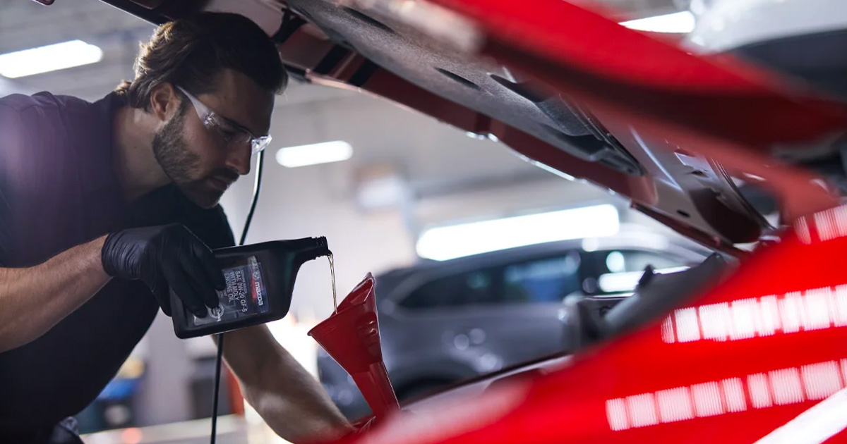 Free Oil Change for Educators - The Freebie Guy® ️️️