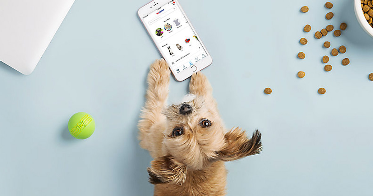 Earn Free Coupons with the Pet Smart App - The Freebie Guy® ️️️