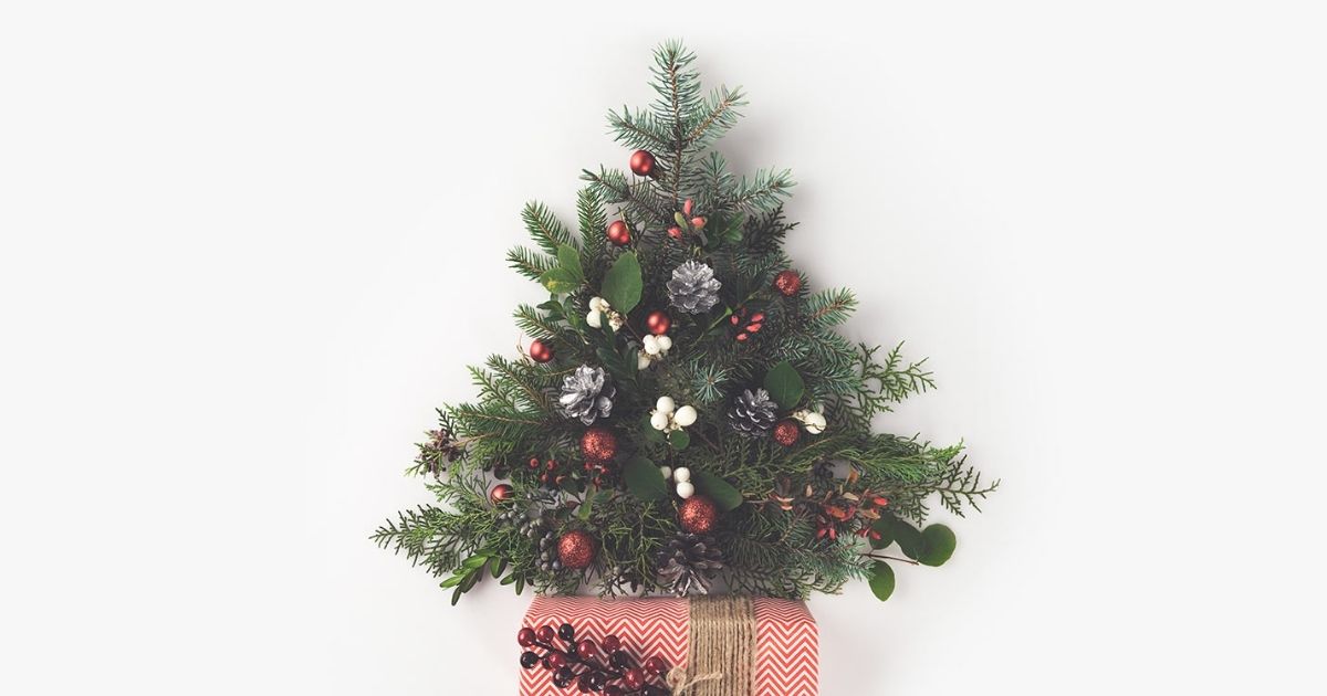 Free Tree for People In Need with The Christmas Tree Project - The ...
