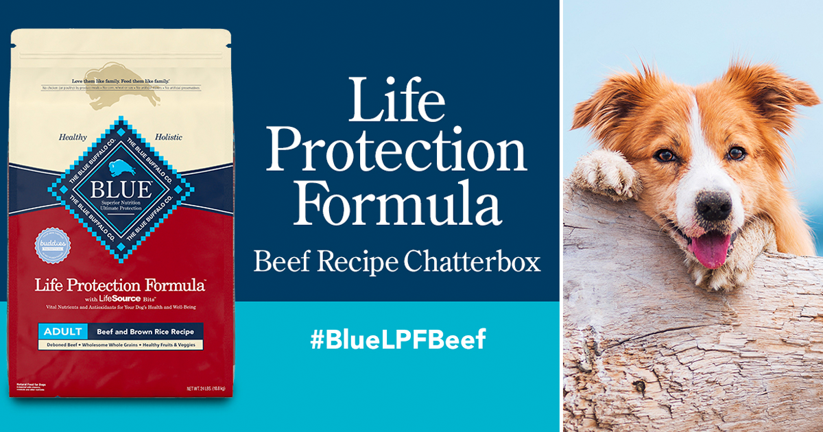 Apply to Be a Blue Buffalo Life Protection Formula Beef Recipe ...