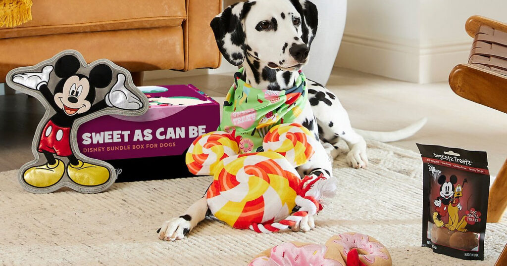 Chewy - Goody Boxes From Only $20.99 - The Freebie Guy®