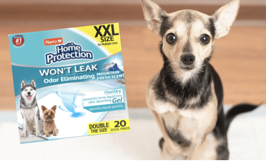 Pet Freebies - Free Stuff For Your Pets - The Freebie Guy®