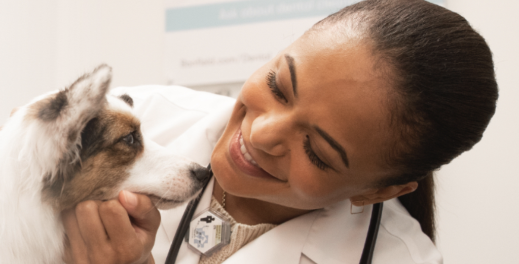 Pet Freebies - Free Stuff For Your Pets - The Freebie Guy®