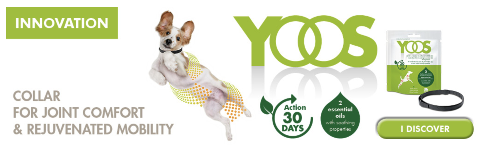 Pet Freebies - Free Stuff For Your Pets - The Freebie Guy®