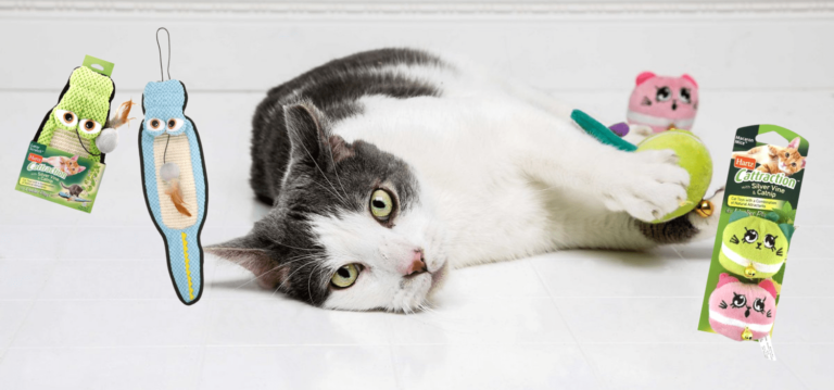 Pet Freebies - Free Stuff For Your Pets - The Freebie Guy®