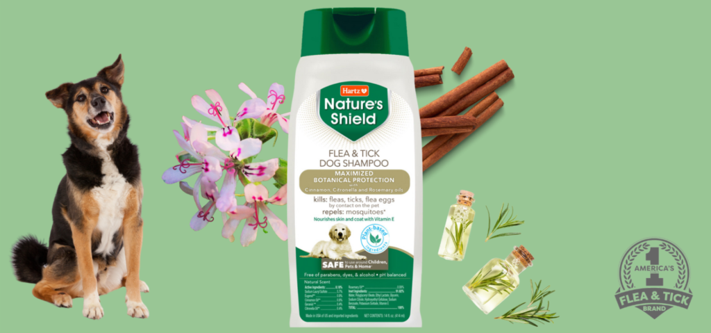 Pet Freebies - Free Stuff For Your Pets - The Freebie Guy®