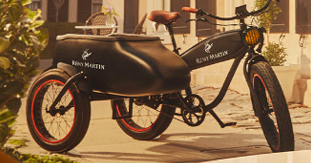 Electric Rémy Sidecar Bike Sweepstakes - The Freebie Guy®