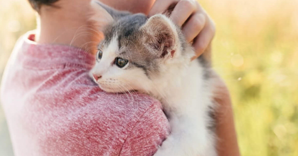 Pet Freebies - Free Stuff For Your Pets - The Freebie Guy®