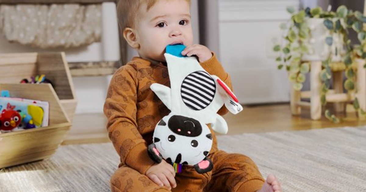 Walmart - Baby Einstein 40-Piece Wooden Block Set Only $12.98 (Reg. $40 ... Walmart - Baby Einstein 40-Piece Wooden Block Set Only $12.98 (Reg. $40 ...