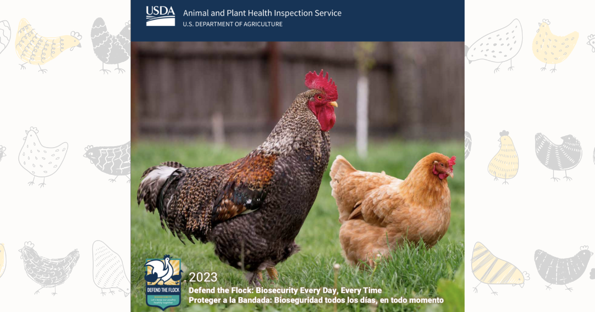 FREE 2023 Chicken Calendar While Supplies Last - The Freebie Guy® ️️️