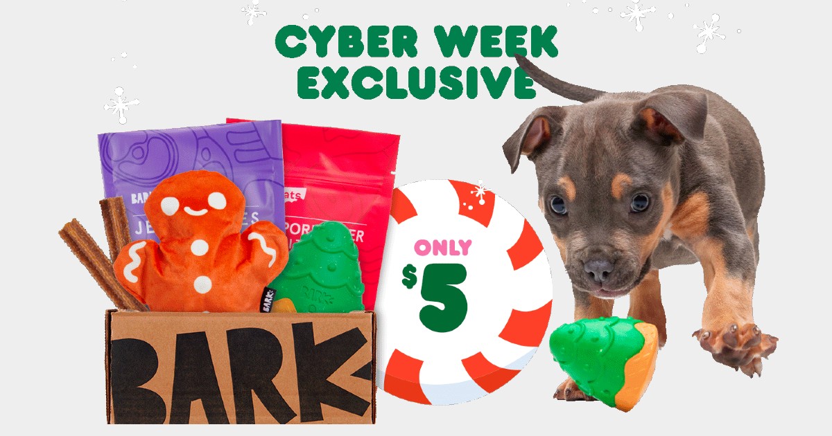 Bark Box Super Chewer - First Box Only $5 Cyber Week Exclusive - The ...