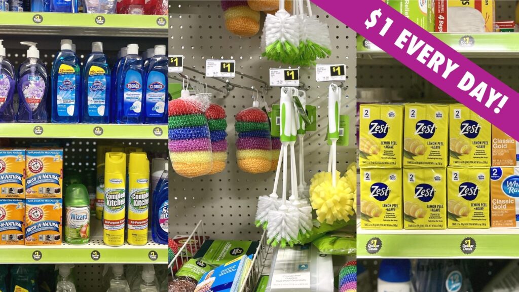 Dollar General Scenarios For February 18th - The Freebie Guy®