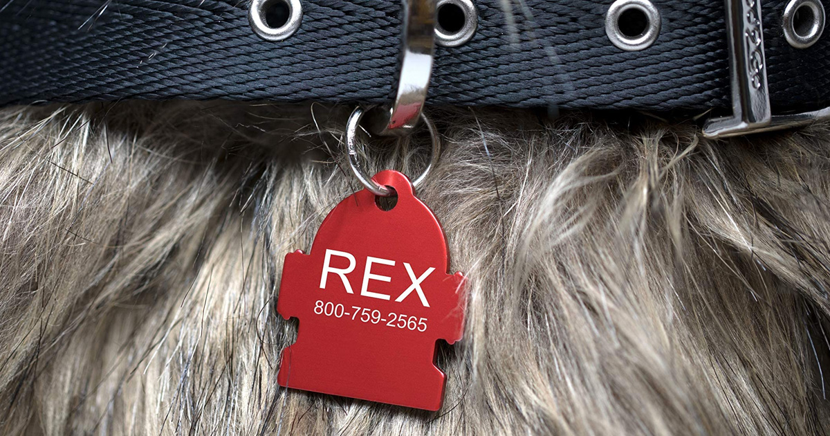 Free Digital ID Tag from DogTV - The Freebie Guy® ️️️