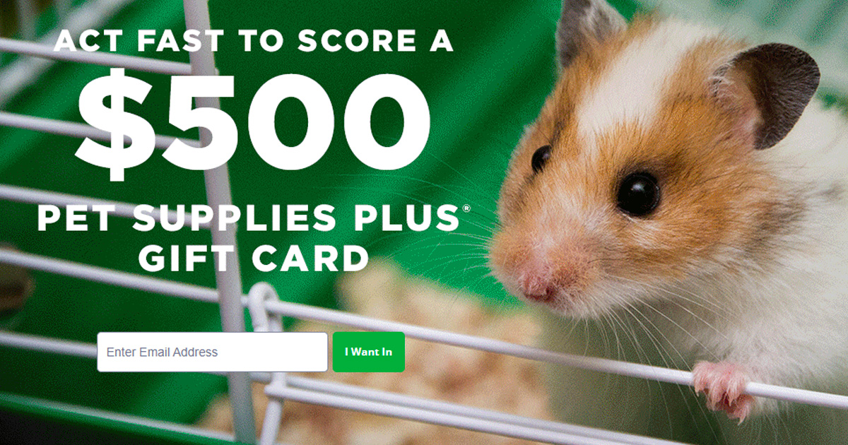 Pet Supplies Plus Quikly Gift Card Giveaway - The Freebie Guy® ️️️