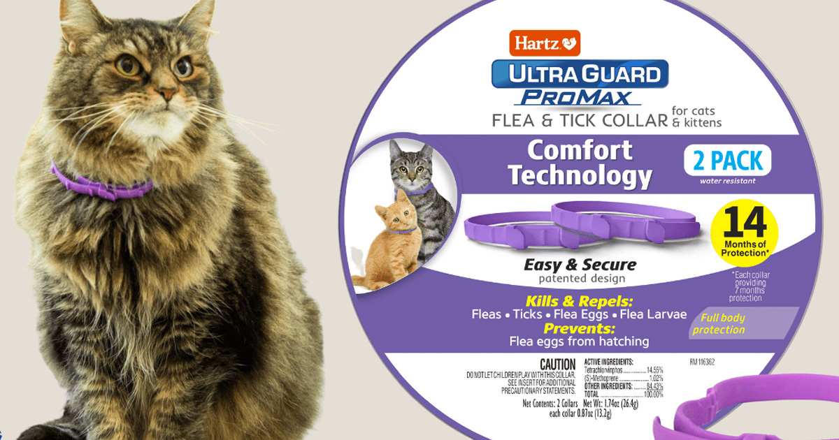 FREE Sample 2-Pack of UltraGuard PROMAX Flea & Tick Cat Collars by ...