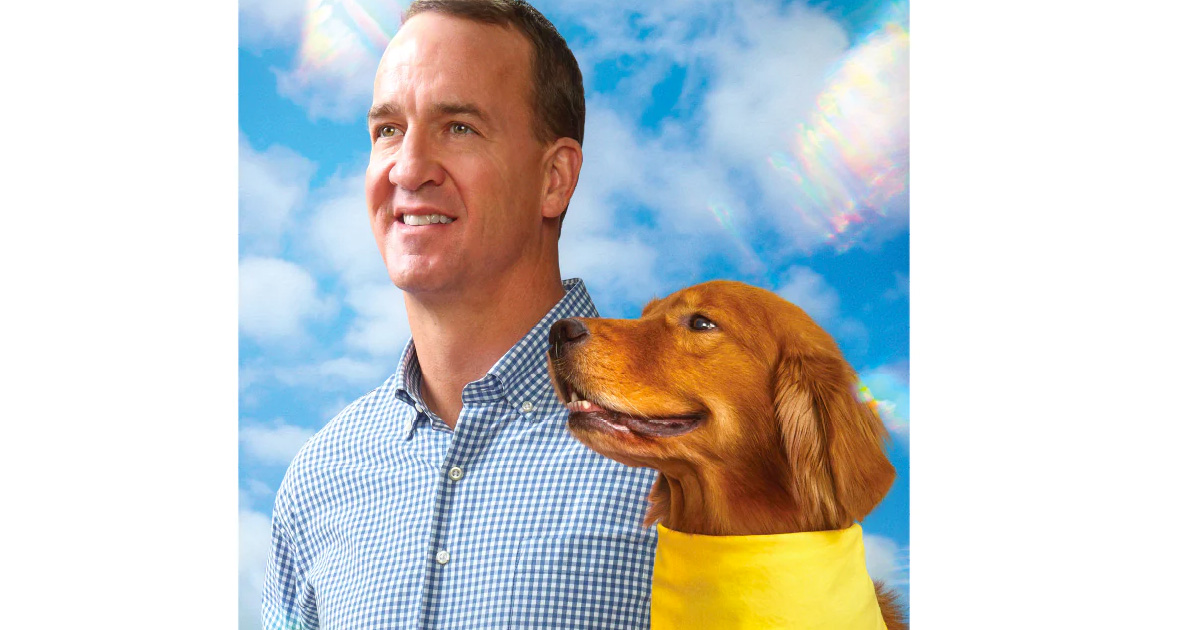 Free Bush's Duke and Peyton Poster - The Freebie Guy® ️️️