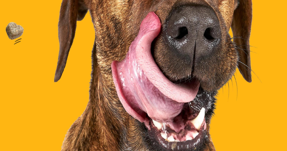 Buy 2, Get 1 Free Pet Treats From Purina, Pedigree and More - The ...