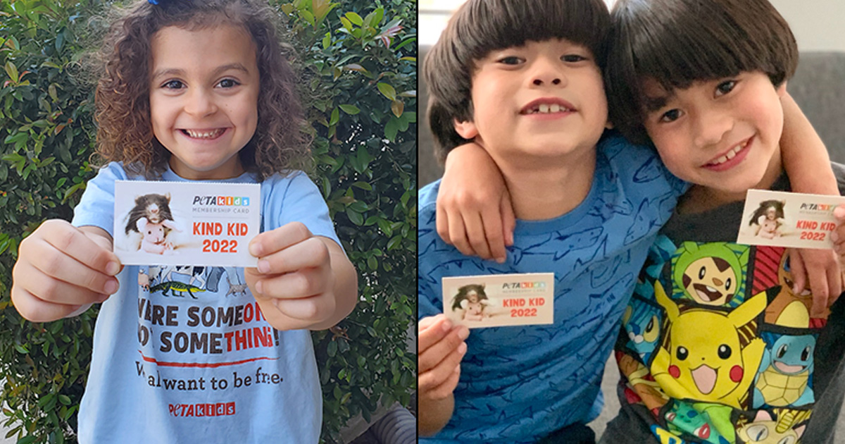 Free PETA Kids Membership Card - The Freebie Guy® ️️️