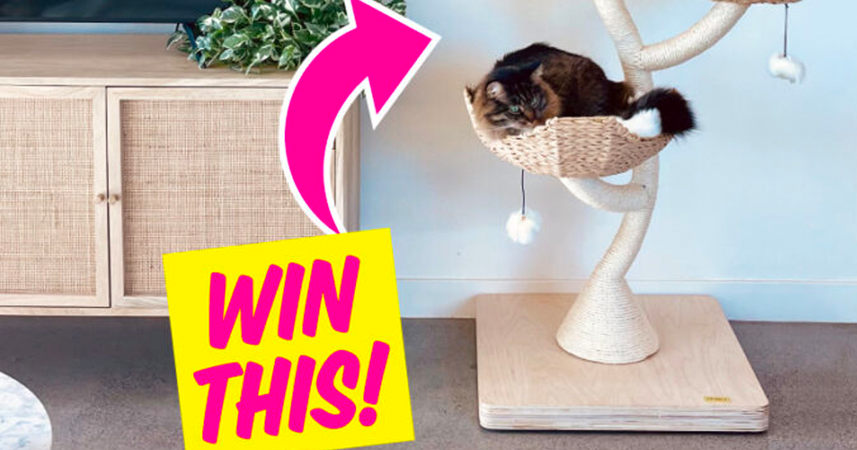 Ivy 3 Cat Tree Giveaway - The Freebie Guy®