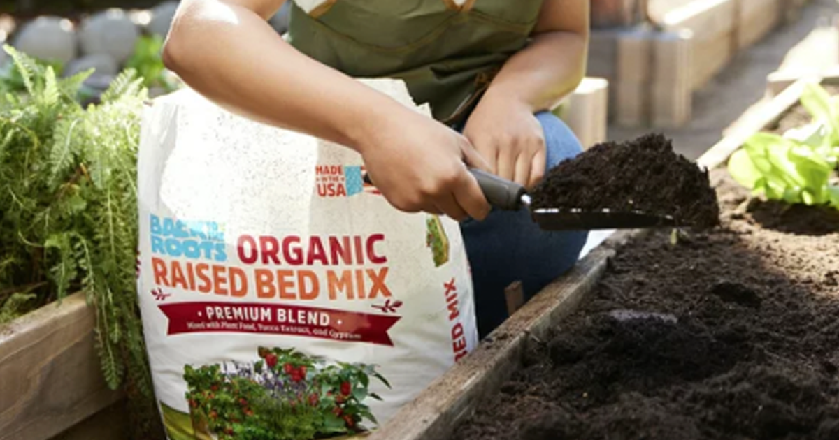 Possible Free Back to the Roots Premium Organic Soil with Social Nature ...