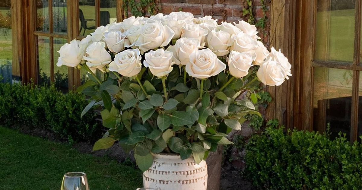 Sam's Club 50-Count Roses from $48.94 - Perfect for Mother's Day! - The ...