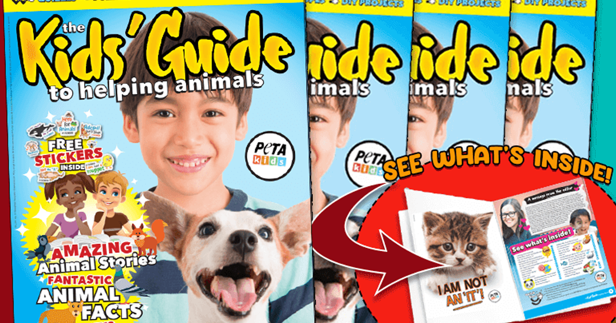 Free Kids’ Guide to Helping Animals Magazine from PETA - The Freebie ...