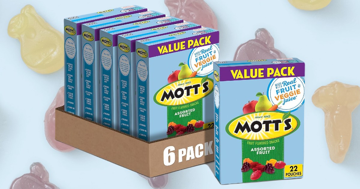 Mott's Fruit Flavored Snacks 22 ct Pack of 6 Only $15 on Amazon - The ...