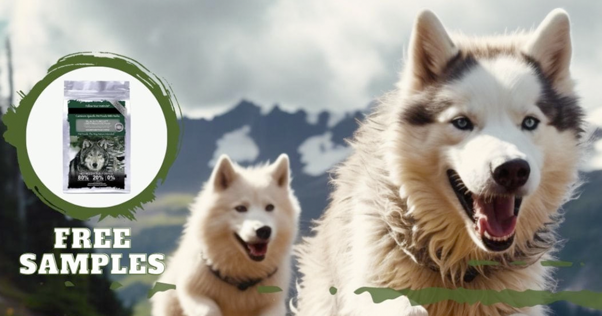 Possible Free Dog Food Samples with the Timberwolf Ambassador Program - The Freebie Guy® ️️️