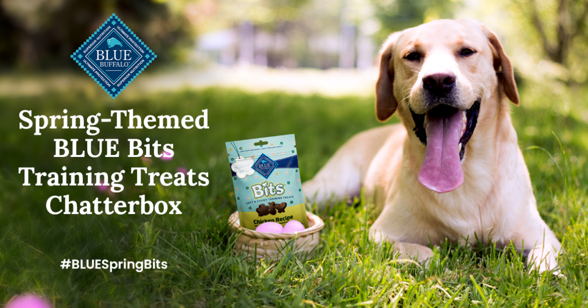 Apply to host Blue Buffalo Spring-Themed BLUE Bits Training Treats ...