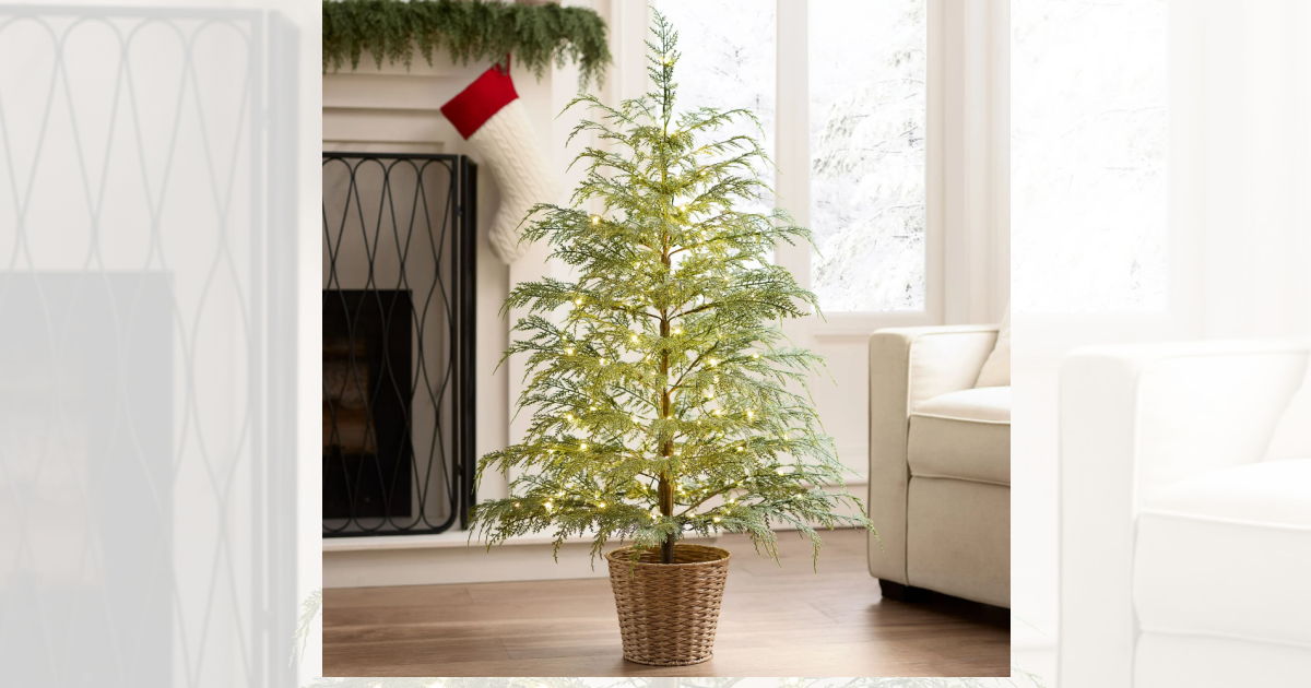 My Texas House Potted Christmas Tree In Stock! GO! - The Freebie Guy® ️️️