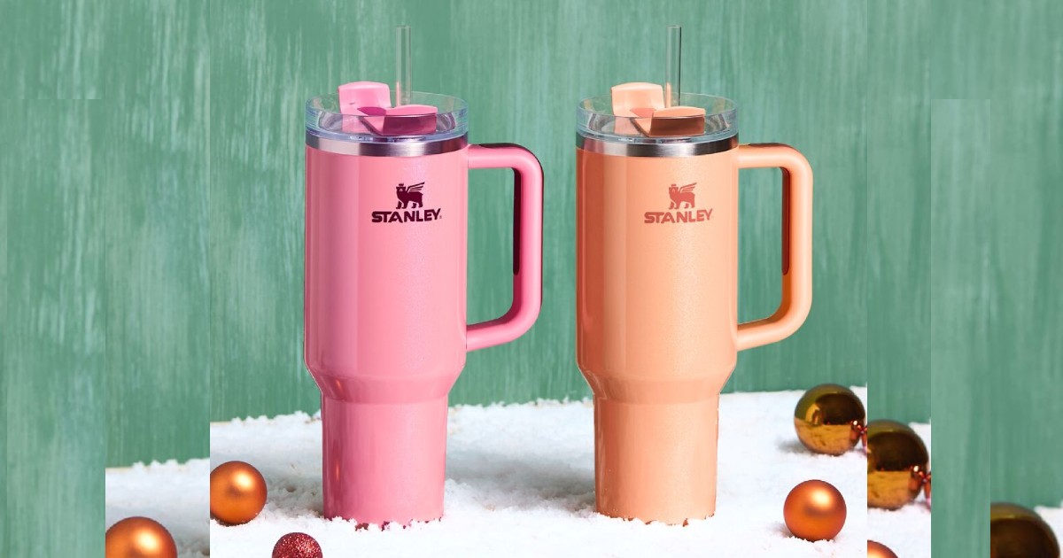 New Winter Berry and Bellini Stanley Quenchers Available Now - The ...