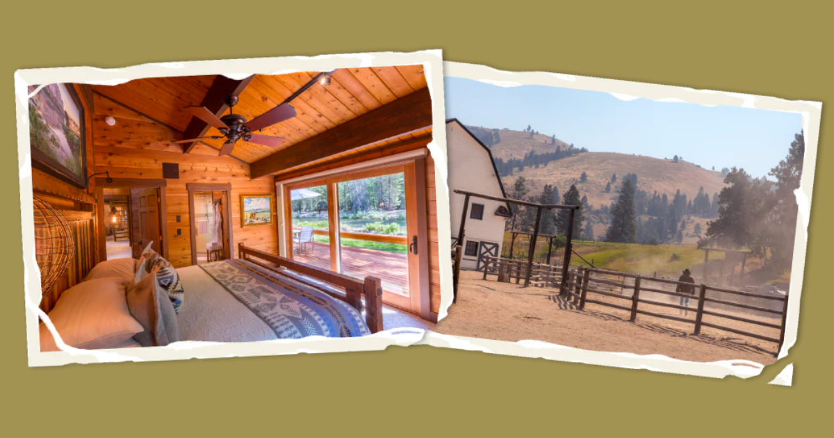 Wild Willies & Yellowstone Cabin Sweepstakes - The Freebie Guy®