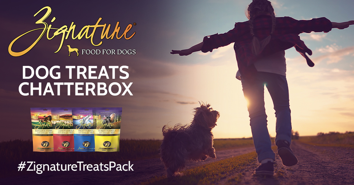 Apply to be a Zignature Dog Treats Chatterbox with Ripple Street - The ...