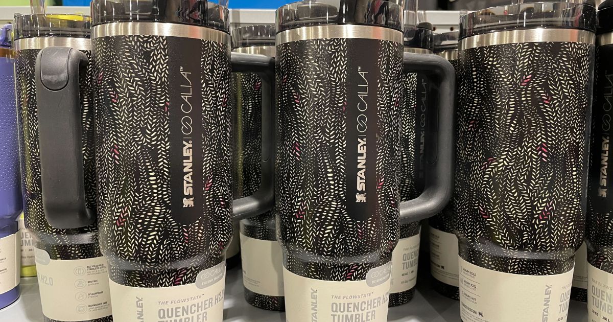 Stanley x CALIA 30oz Quencher Tumbler Only $25.99 at Dick's Sporting ...