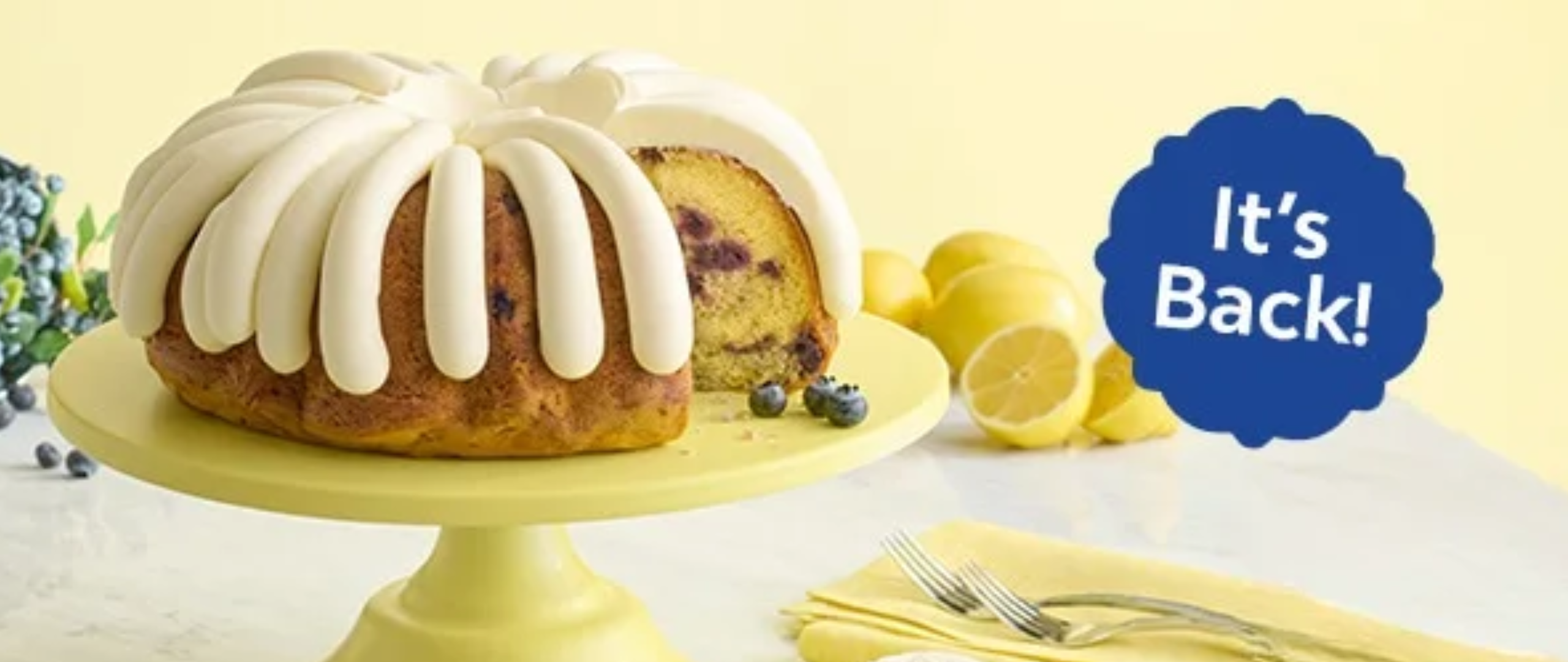 Best Nothing Bundt Cakes Promo Codes and Deals - Lemon Blueberry Is ...