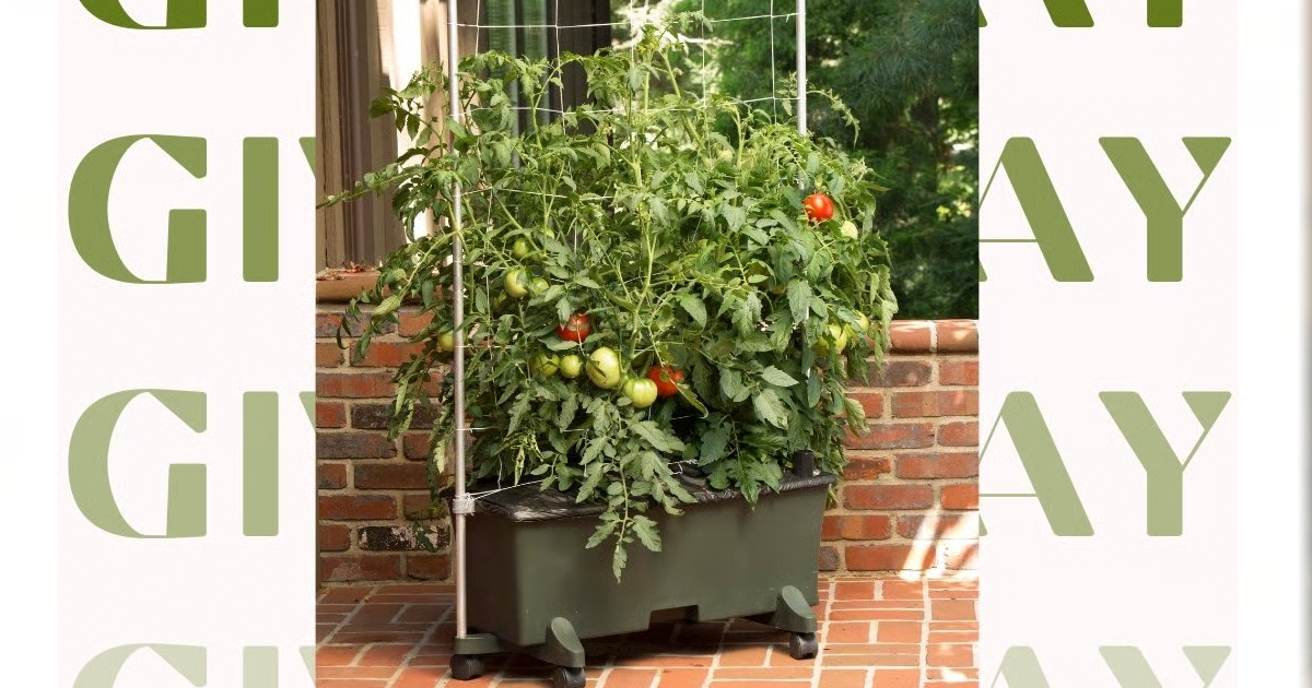 EarthBox Tomato Bundle Giveaway - The Freebie Guy®