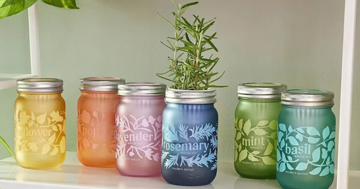 Modern Sprout Grow Kits Just $7.79 at Target (Reg. $13) - Fun Gift Idea ...