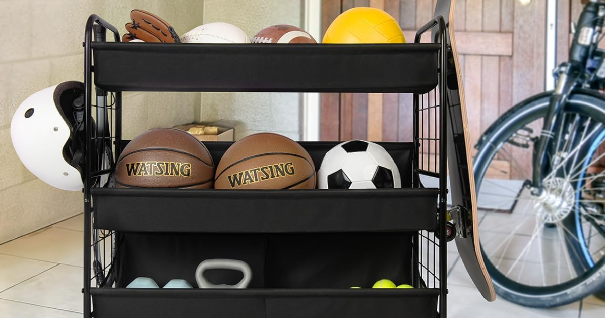 Sports Equipment Organizer w/ Wheels Only $24.xx Shipped on Amazon (Reg ...