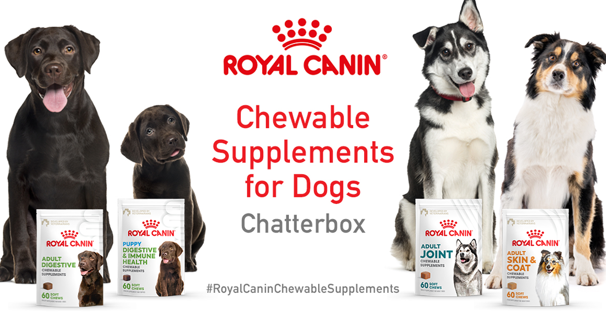 Apply to be a Royal Canin Chewable Supplements for Dogs Chatterbox with ...