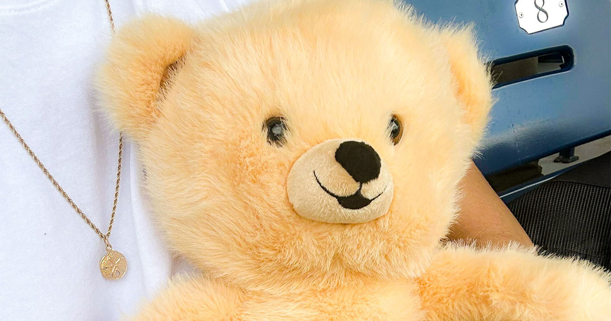 Snuggle Comfort Companion Giveaway - The Freebie Guy® ️️️