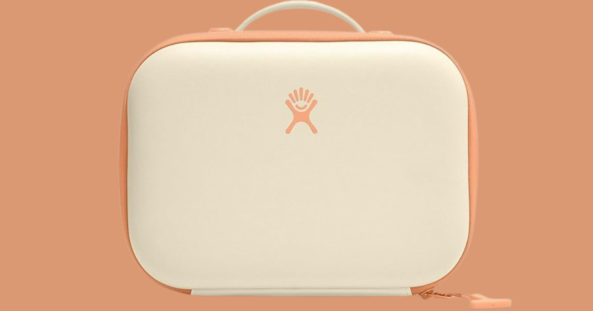Hydro Flask Insulated Lunch Box Only $15 on Amazon (Reg. $45) - The ...